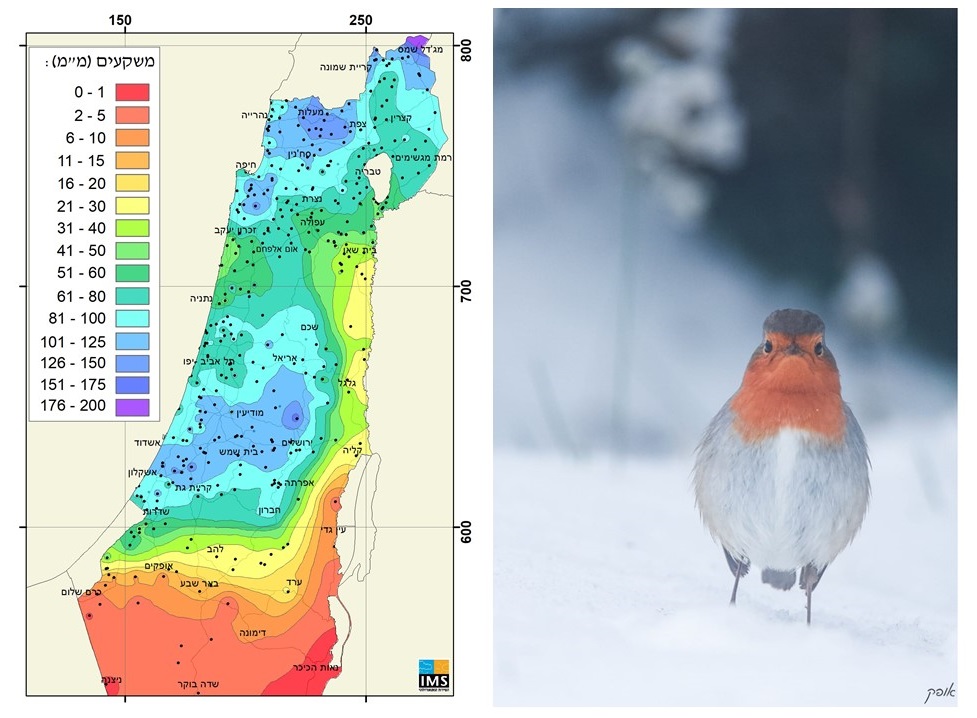 Summary of the Elpis system and the precipitation that continued after ...